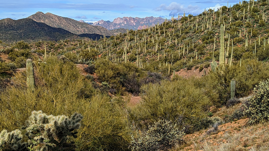 A Winter Trekking Adventure: Section Hiking the Arizona Trail's Sonoran ...